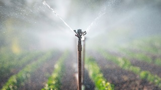 AVK - Driving the future of irrigation in India - AVK India
